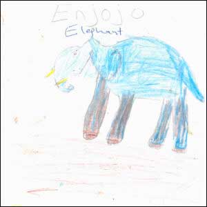 Happy World Elephant Day! – International Elephant Foundation