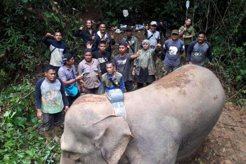 Developing strategies to mitigate Human Elephant Conflict using GPS ...