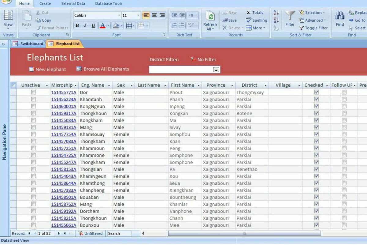 Capacity building to strengthen management of captive elephants and ...