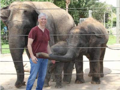 Saving Baby Elephants – International Elephant Foundation