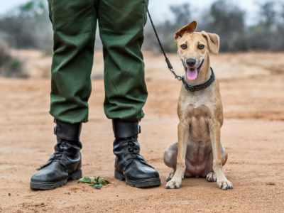 Wildlife Ranger Challenge 2024 – International Elephant Foundation