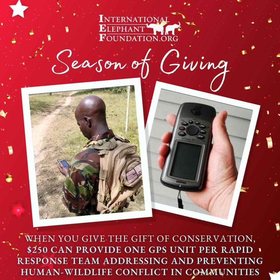 Help Find the Way for Elephants! – International Elephant Foundation