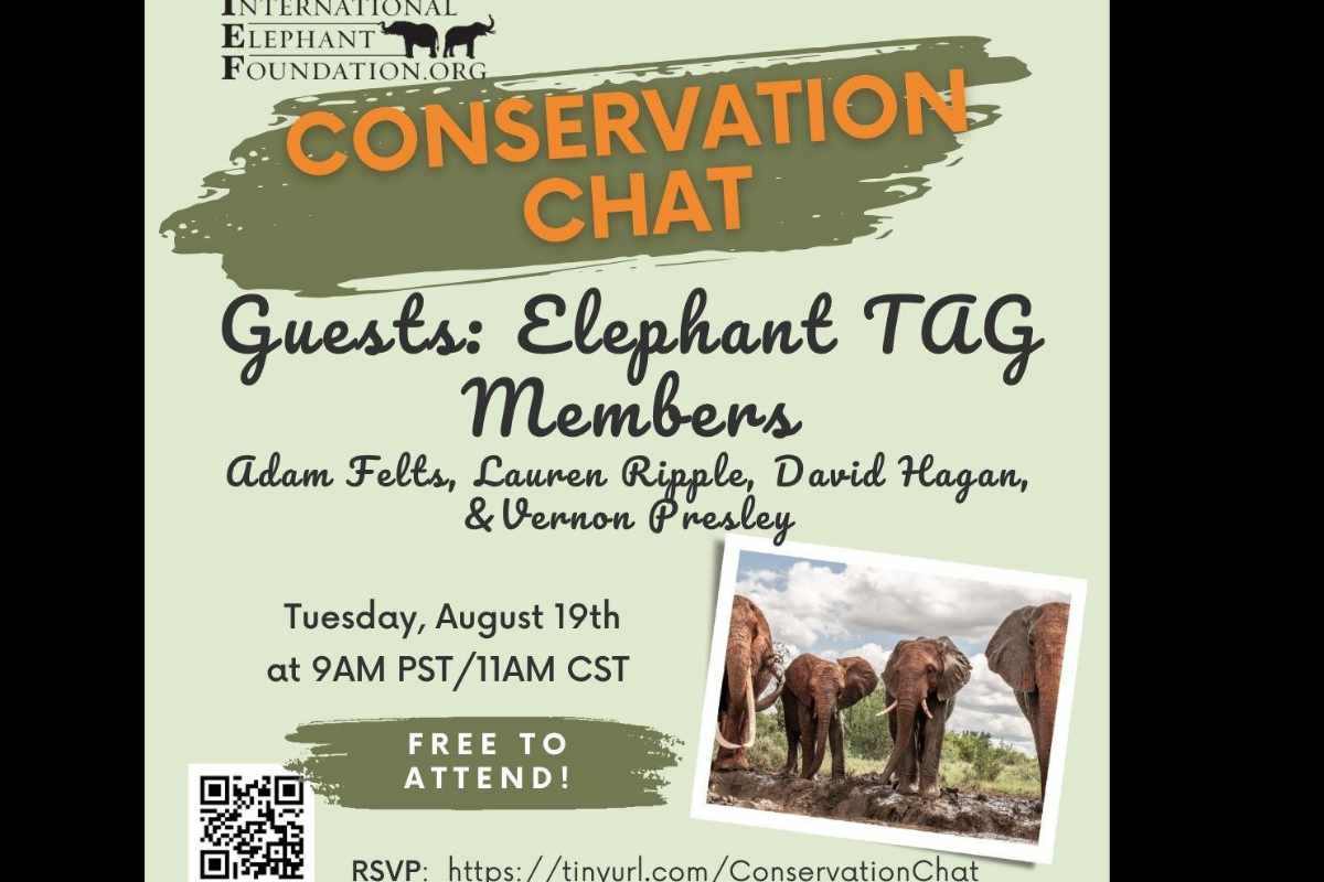 Conservation Chat with the Elephant TAG – International Elephant Foundation