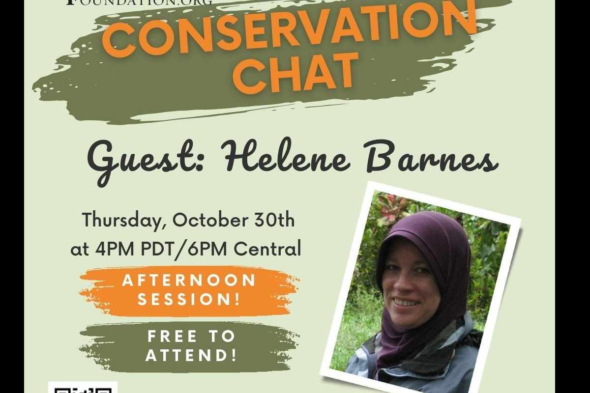 Next Conservation Chat – International Elephant Foundation