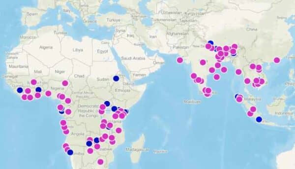 Announcing Our 2026 Conservation Projects - International Elephant ...
